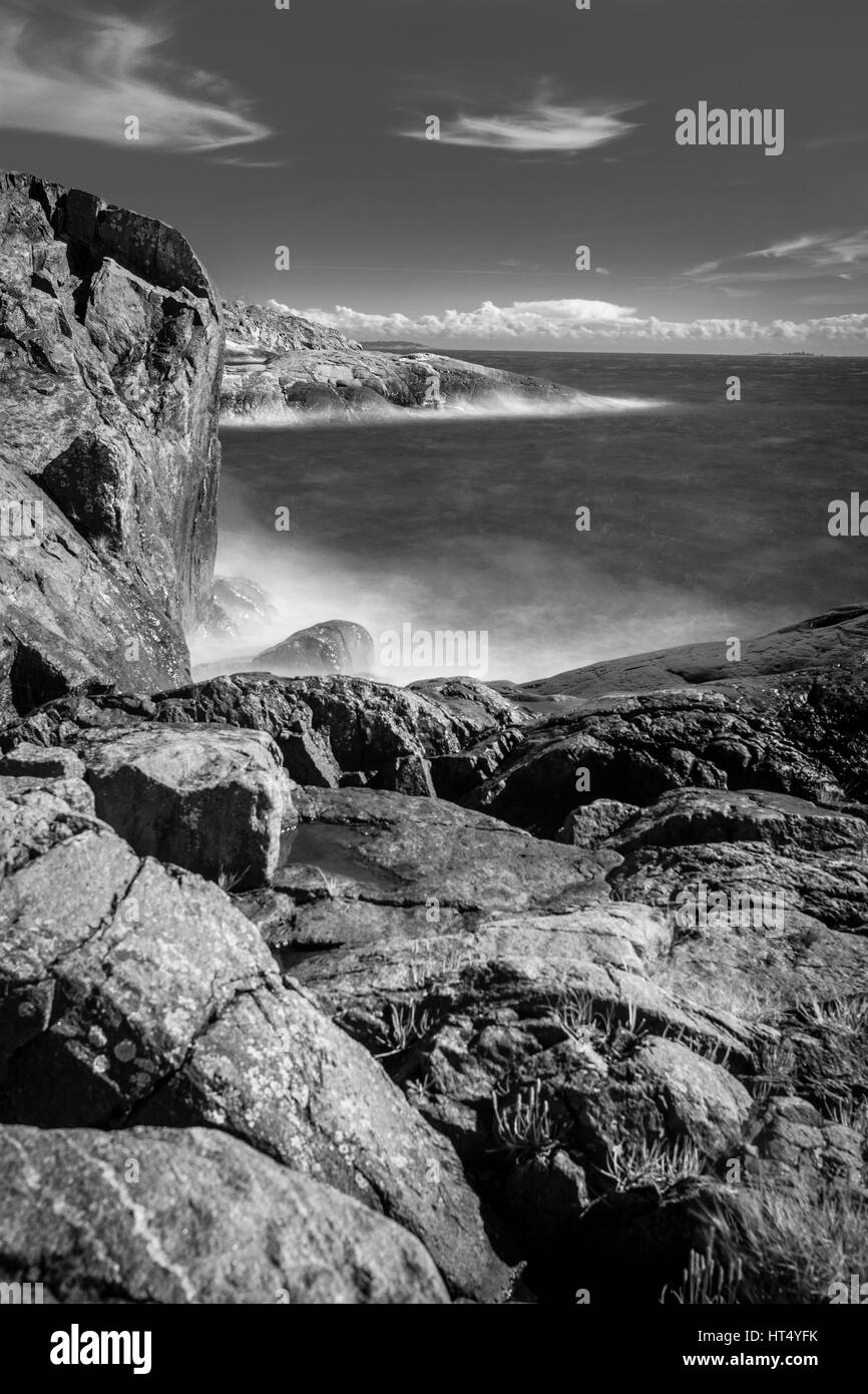 Tea sugar Black and White Stock Photos & Images - Alamy