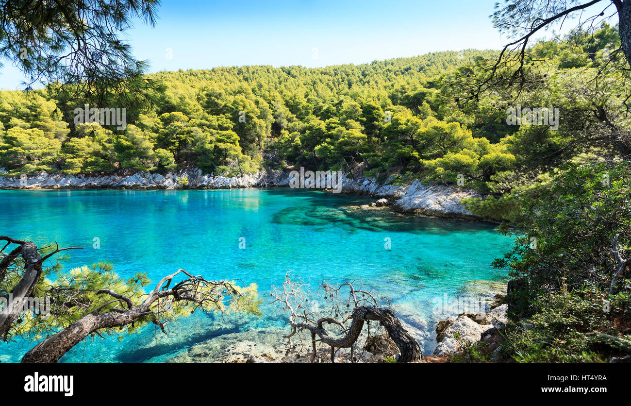 Coastline near Agnontas, Skopelos, Greece Stock Photo - Alamy