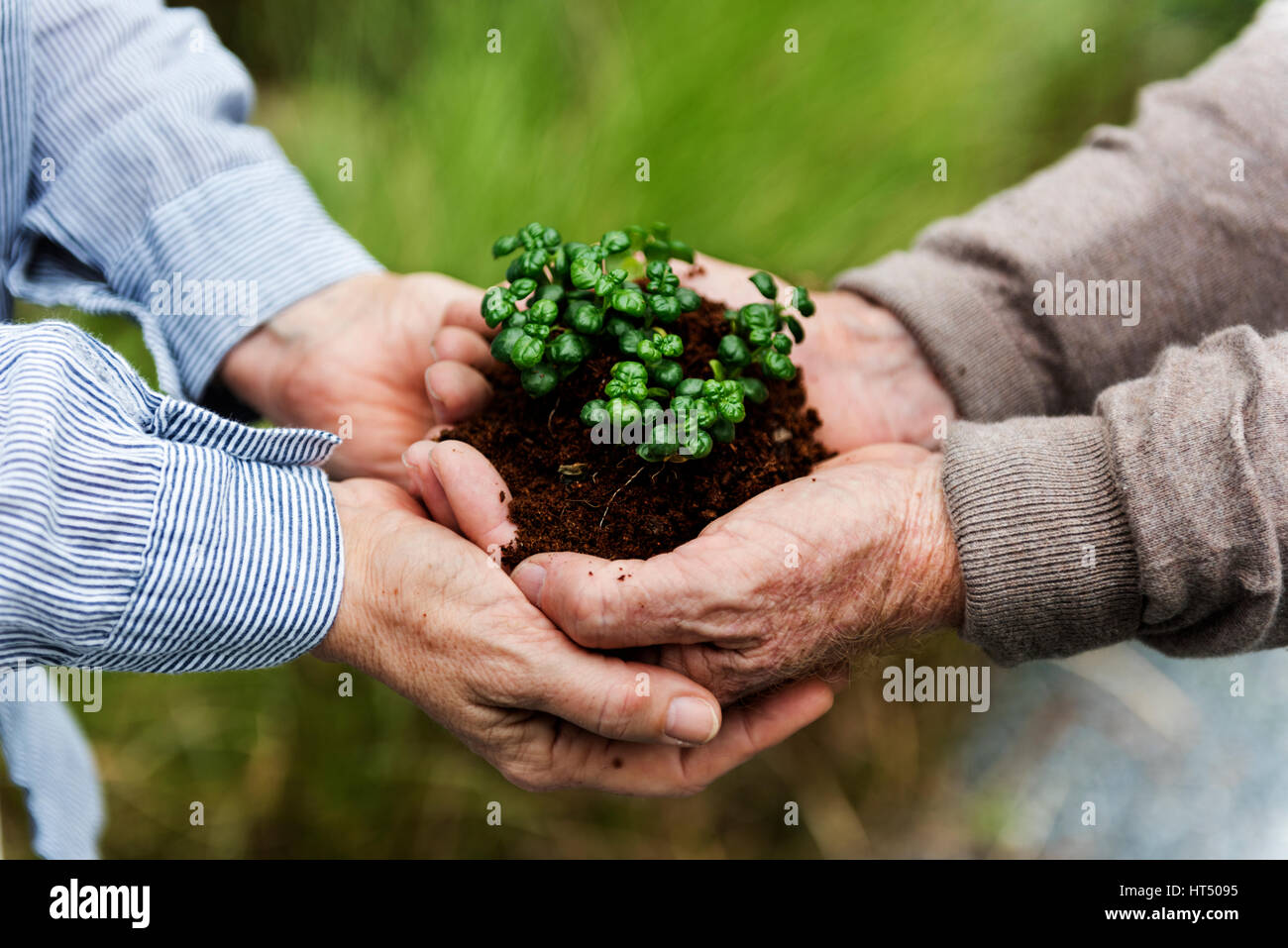 Conservation Environmental Green Nature Ecology Stock Photo - Alamy