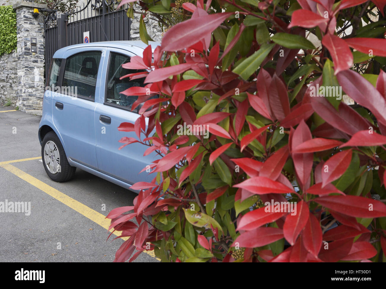car parked behind a plant leaves Stock Photo - Alamy