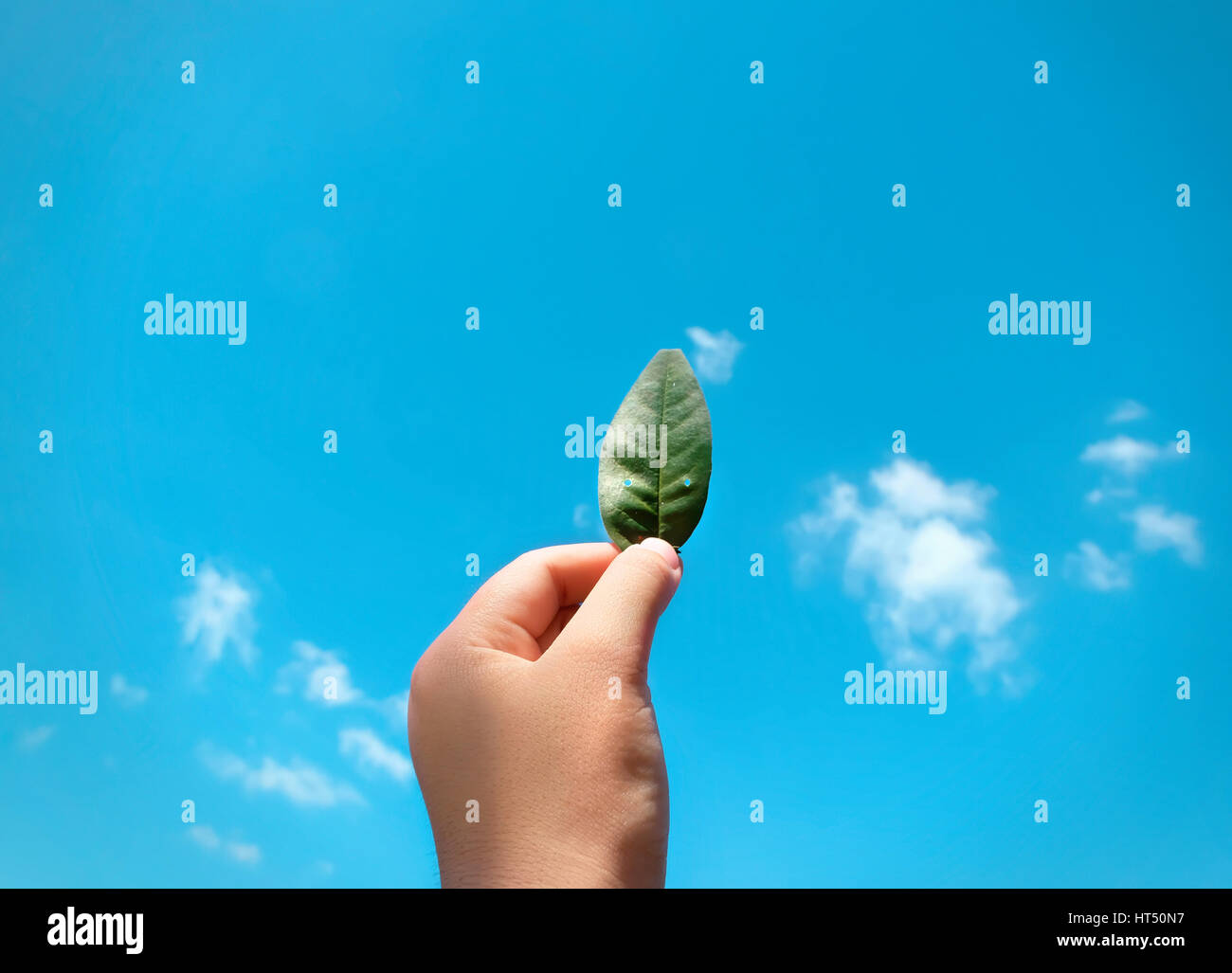 Hand holding leaf hi-res stock photography and images - Alamy