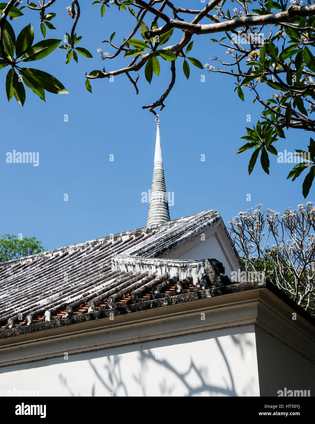 Church Trees Leaf Branches Nature Stock Photo - Alamy