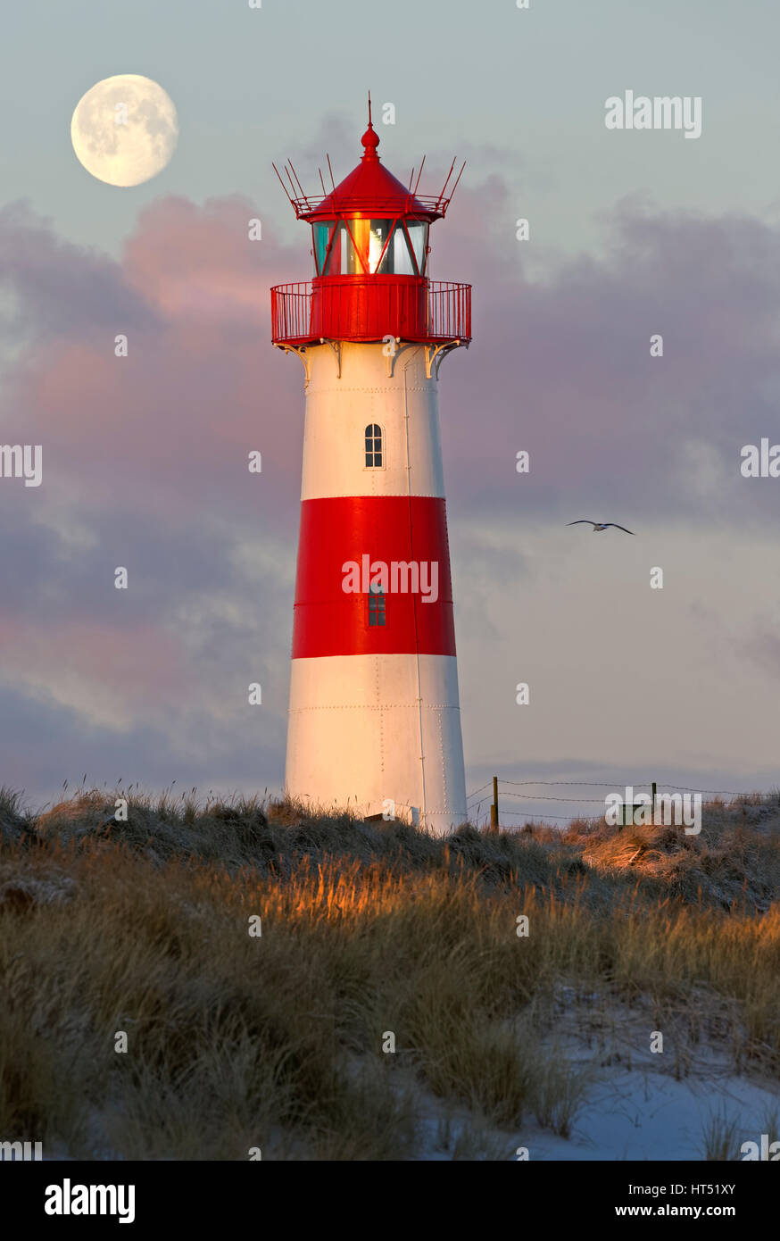 Red and white striped lighthouse List Ost at full moon, twilight ...