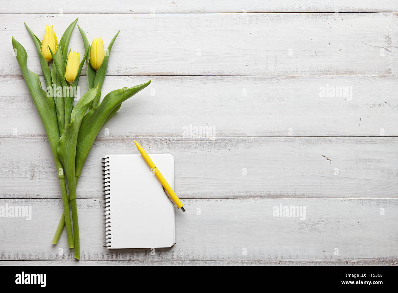 Yellow tulips on white wooden boards Stock Photo - Alamy