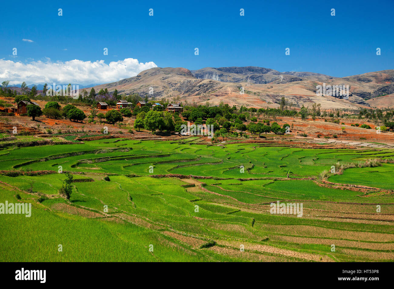 Rice terraces madagascar hi-res stock photography and images - Alamy