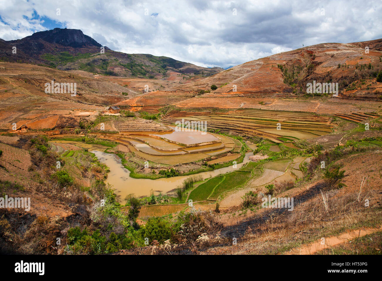 Rice Terraces on the road to Andringitra, Central Madagascar, by Monika ...