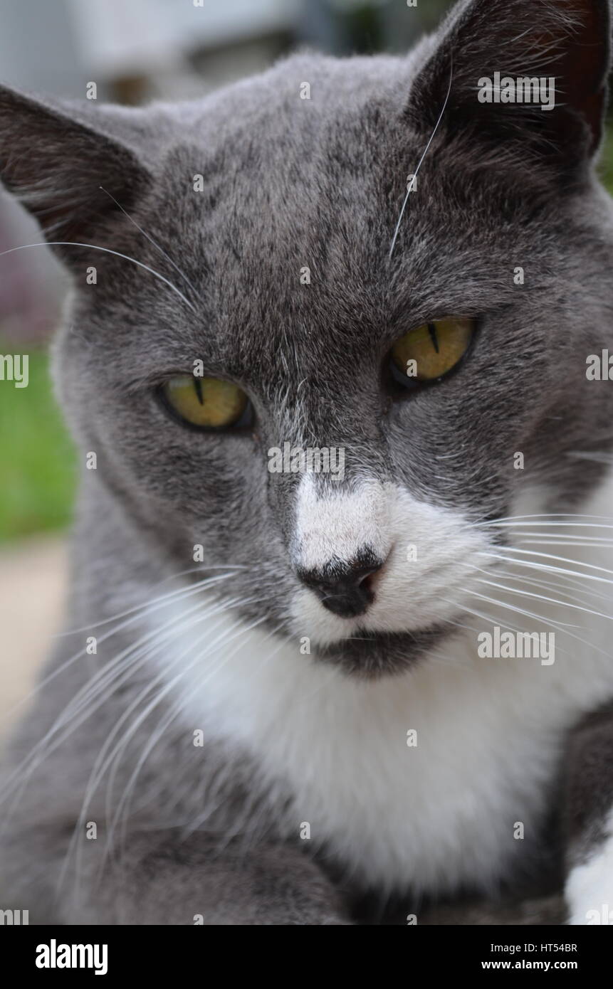 Pensive and face hi-res stock photography and images - Alamy