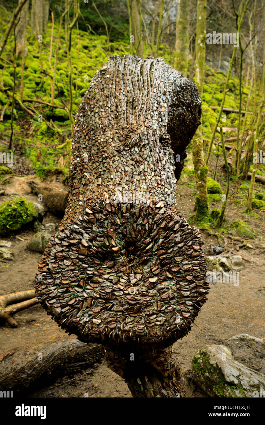 Ingleton Coin Tree High Resolution Stock Photography and Images - Alamy