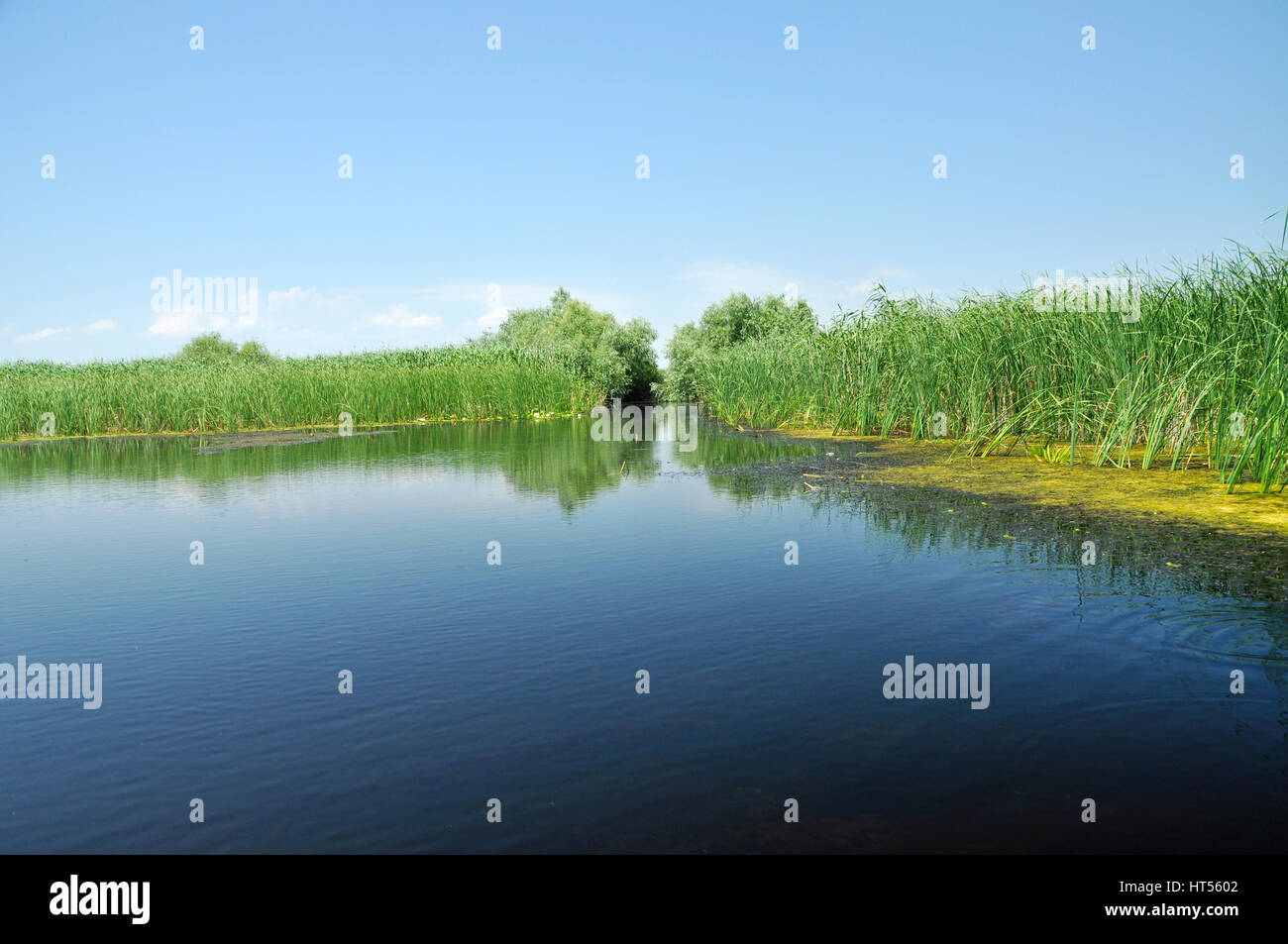 Fishing in the chanel hi-res stock photography and images - Alamy