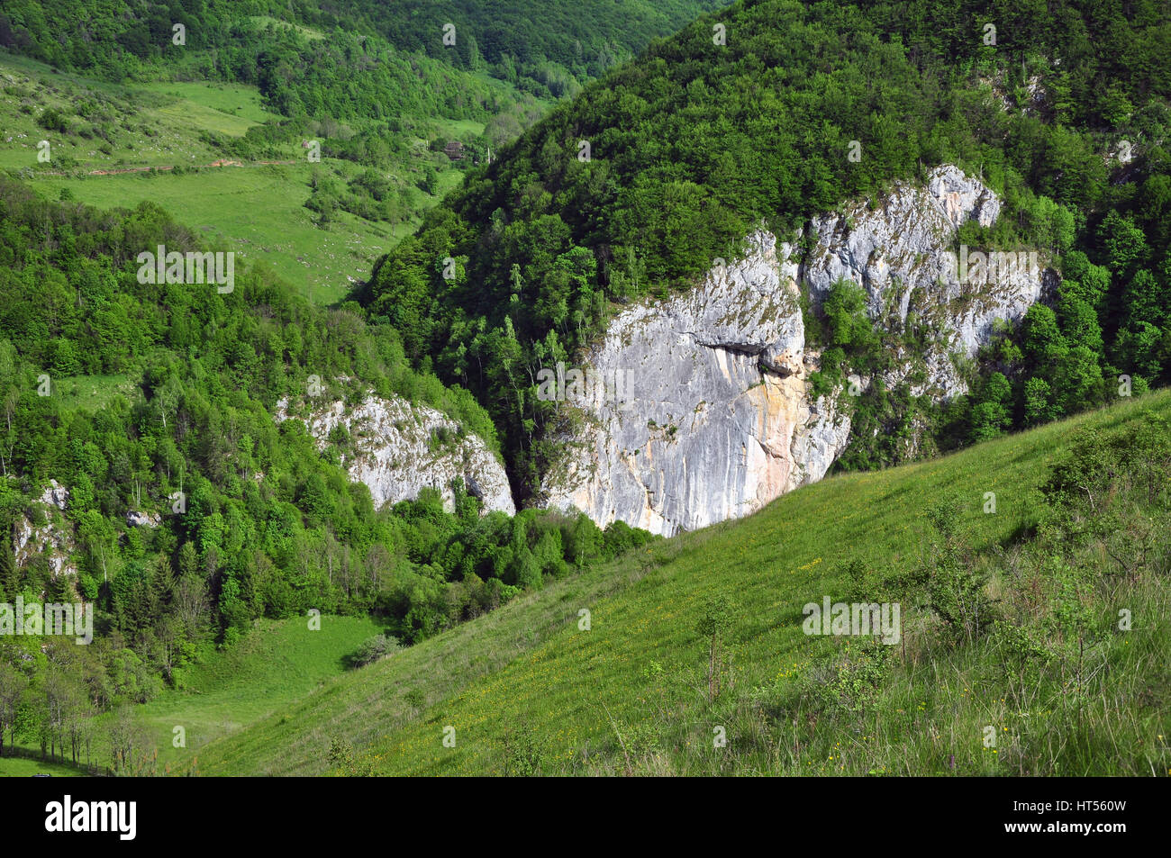 Green vibrant pasture with limestone rocks Stock Photo - Alamy