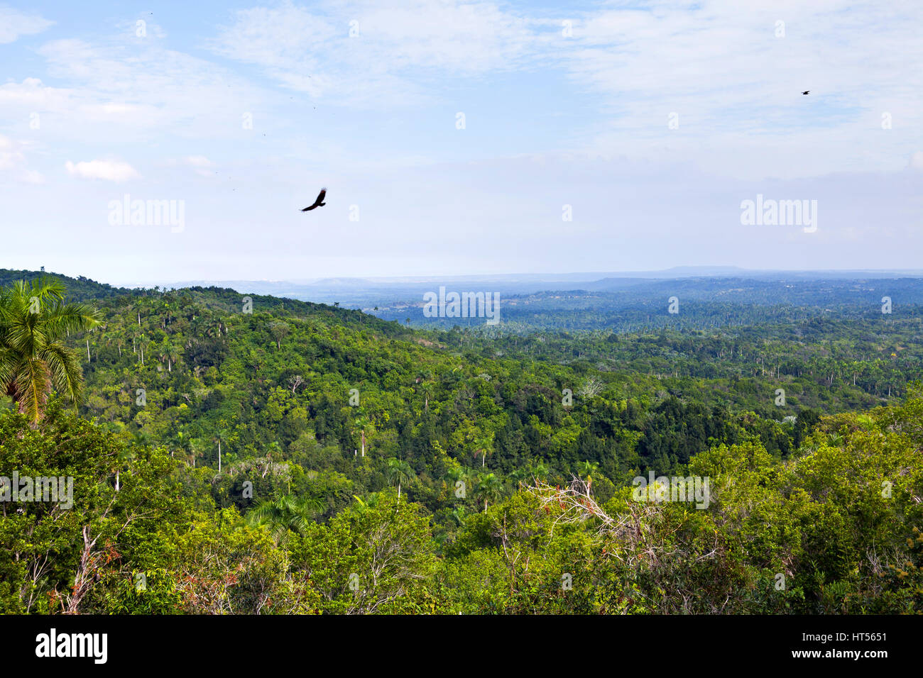 Cuba pinar del rio san hi-res stock photography and images - Alamy