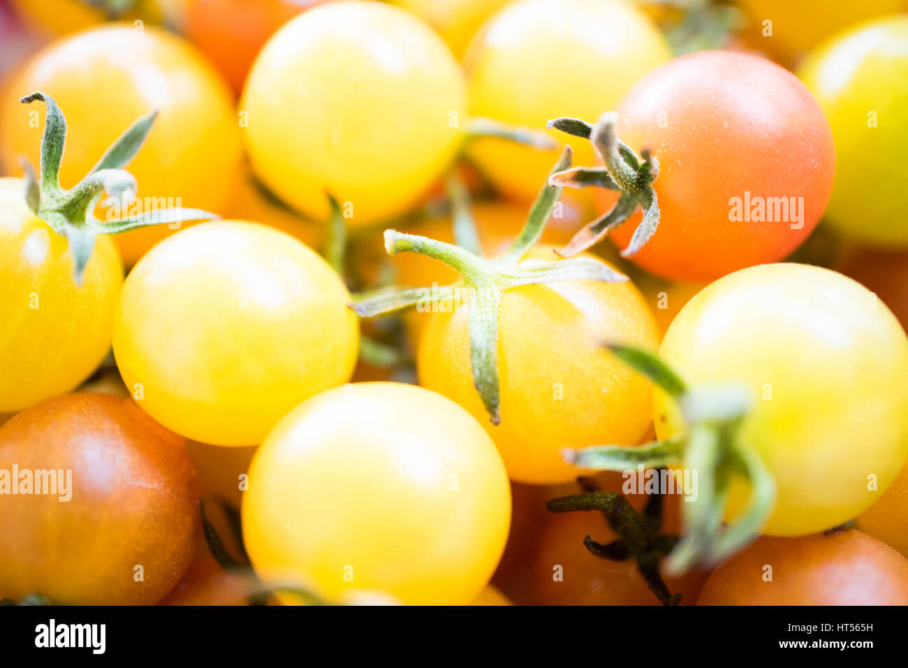 Little tomatoes yellow and red color close up and macro Stock Photo - Alamy