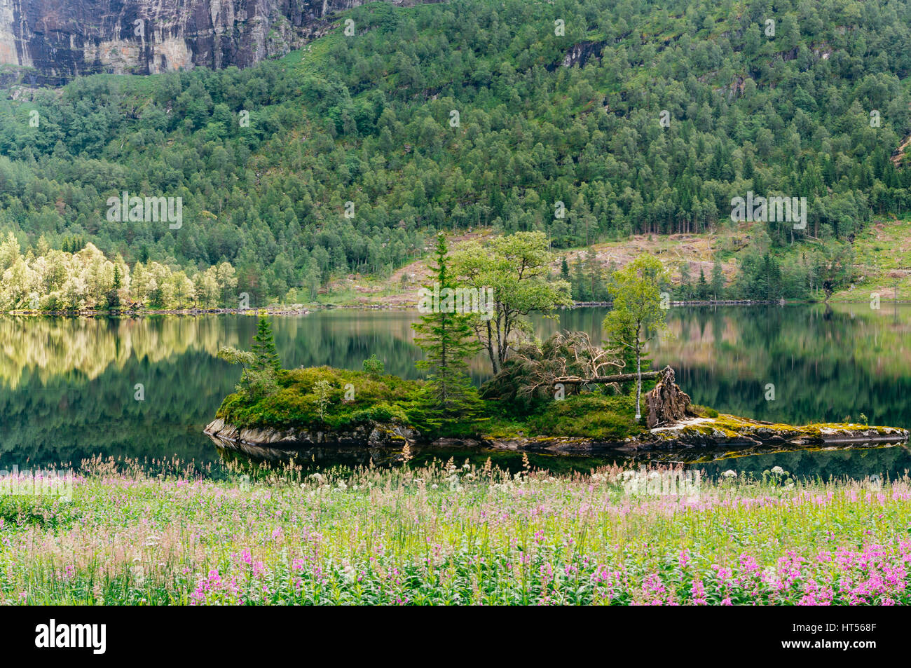 Small island in lake against woodland slope, idyllic summer landscape ...
