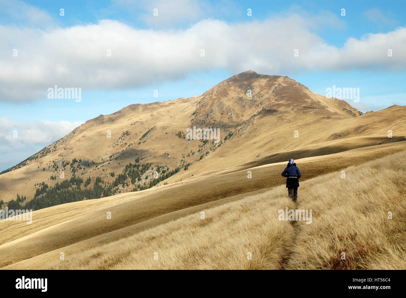 Maramures mountains hi-res stock photography and images - Alamy