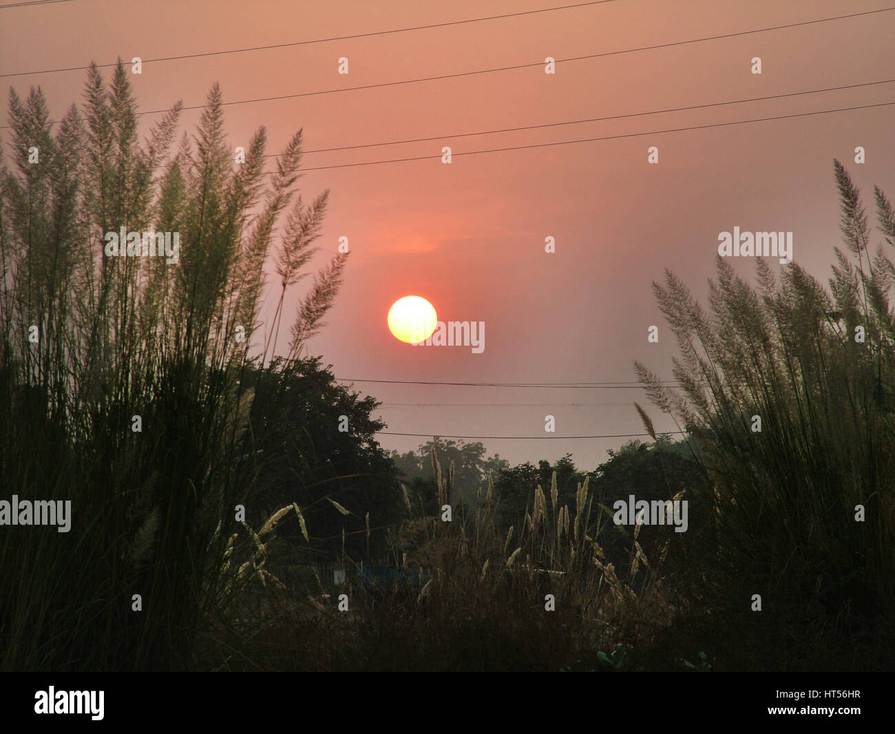 Gurgaon Sunset great shoot, photo, (Photo Copyright © by Saji Maramon ...