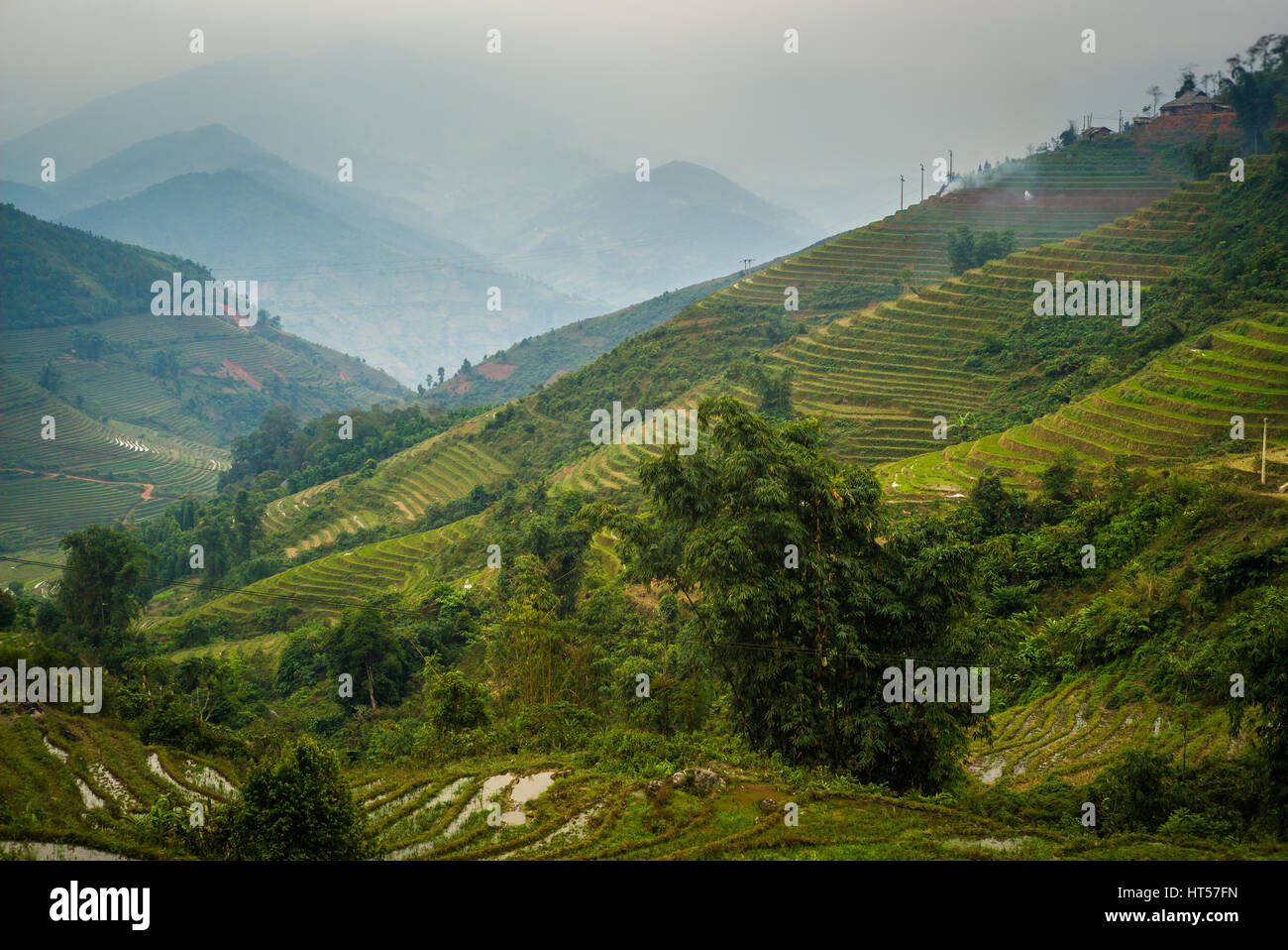 Wonderful rice terraces in the mountains of Sapa region in Vietnam ...