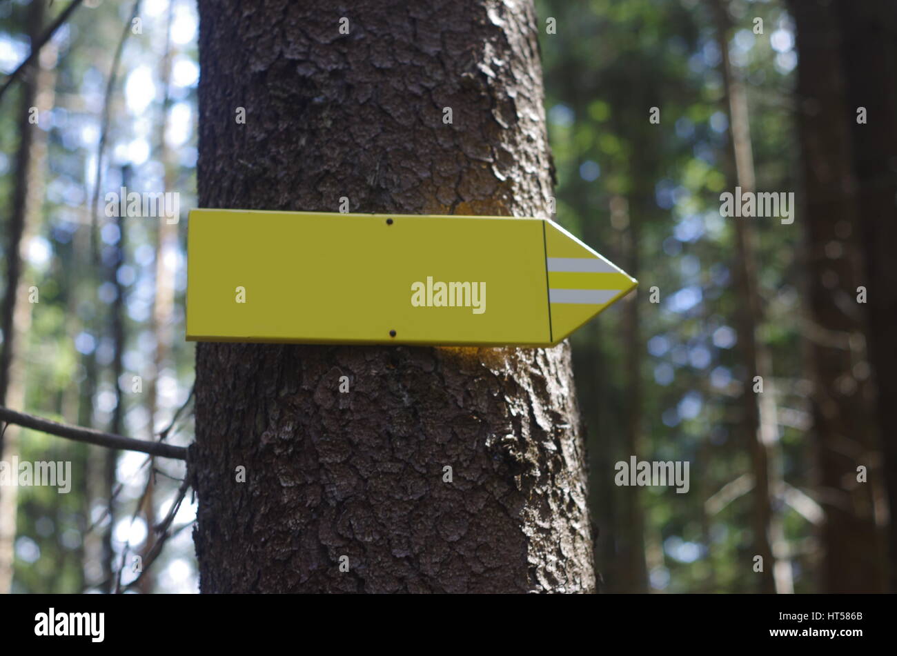 Signboard in the forest Stock Photo - Alamy