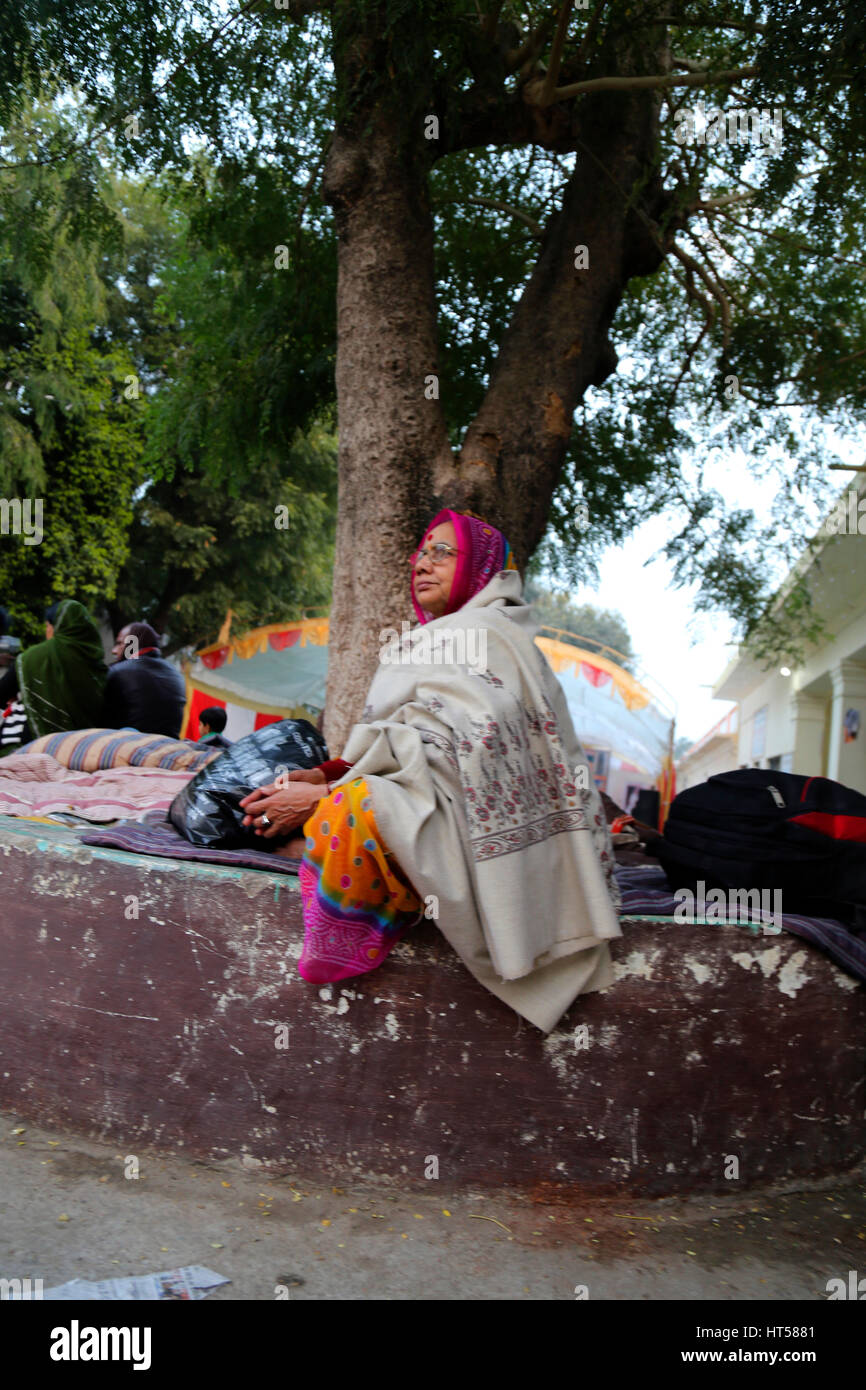 old woman sitting under the tree. India Stock Photo - Alamy