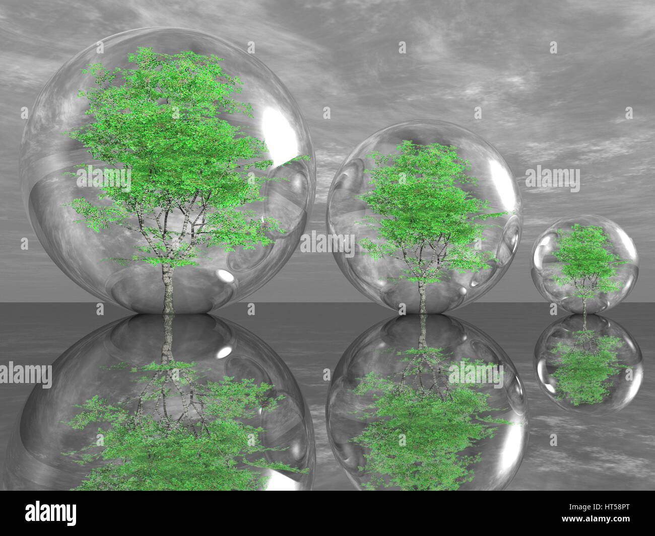 tree in a bubble Stock Photo - Alamy