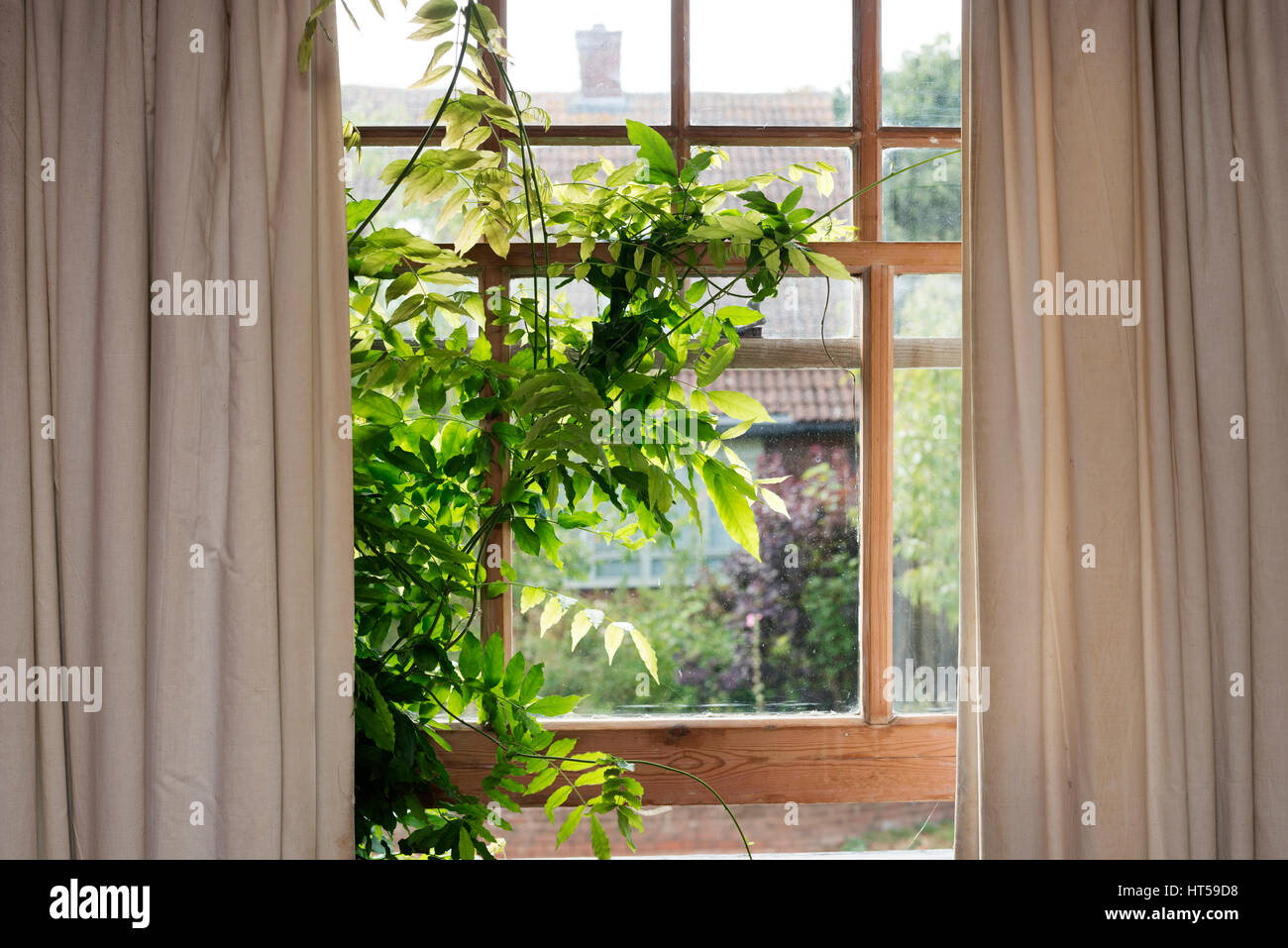 Climbing through window hi-res stock photography and images - Alamy