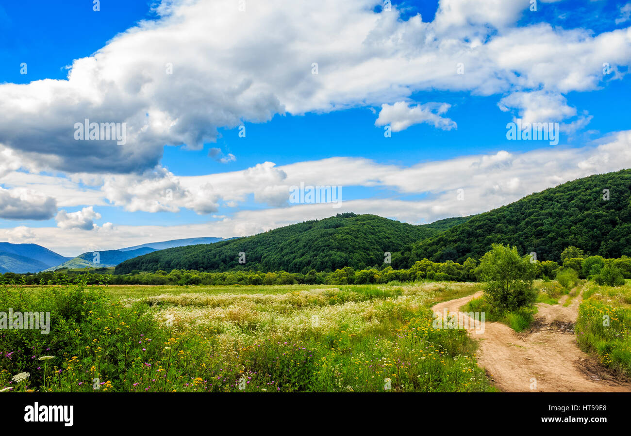 beautiful countryside landscape. path through rural field near the ...