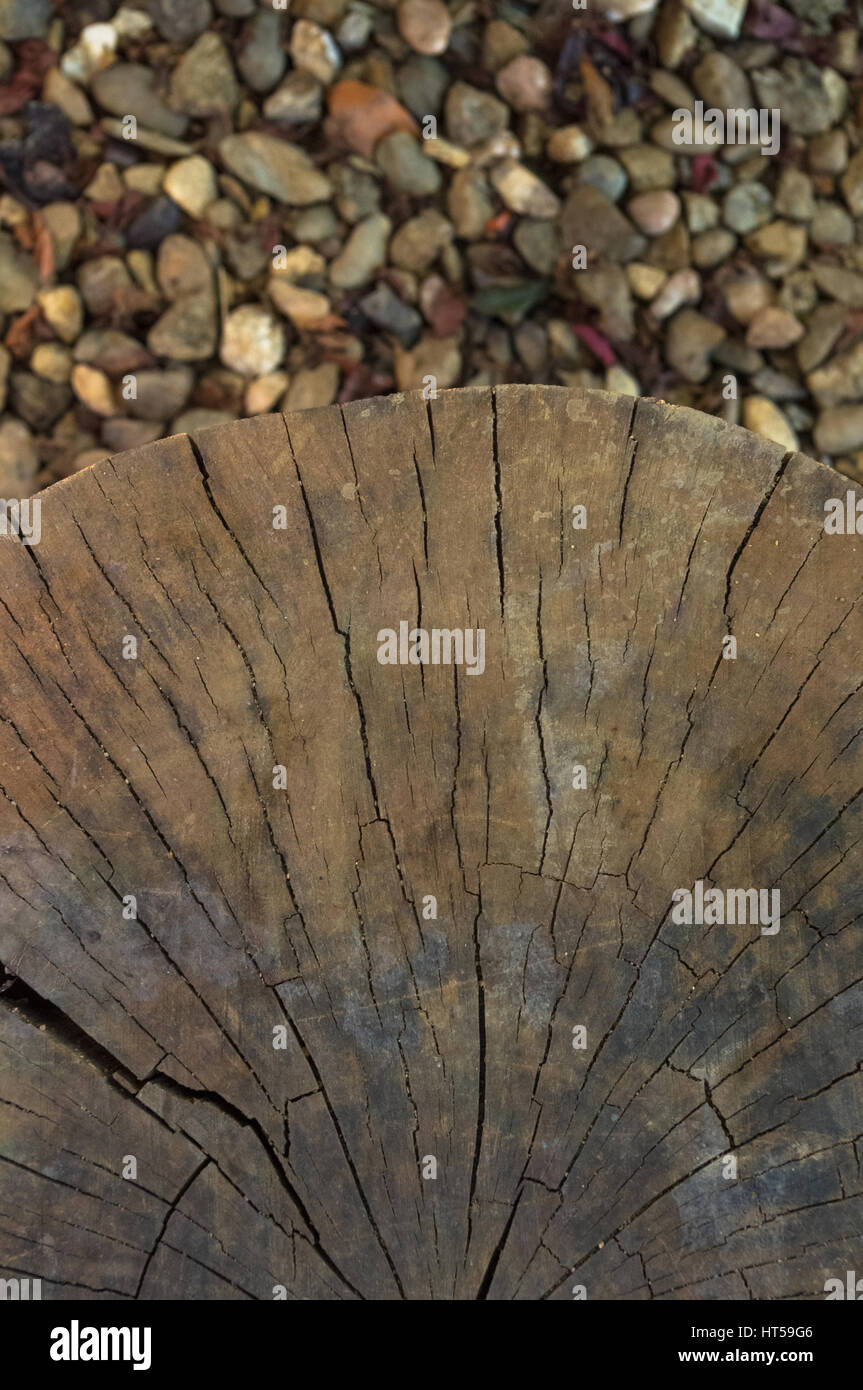 old cracked wooden log and multicolored pebbles Stock Photo - Alamy