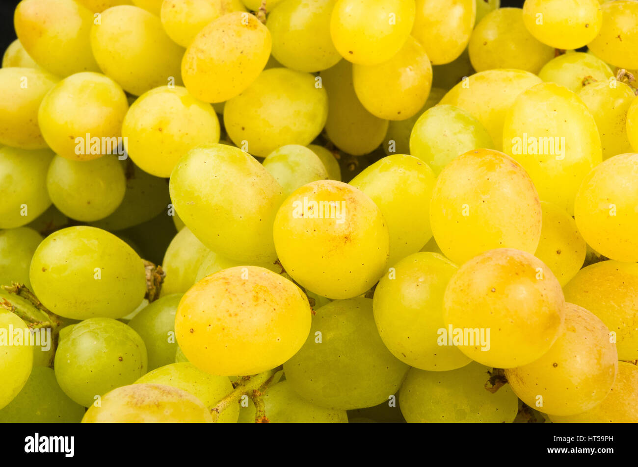 Large grapes cluster amber color on black background Stock Photo - Alamy