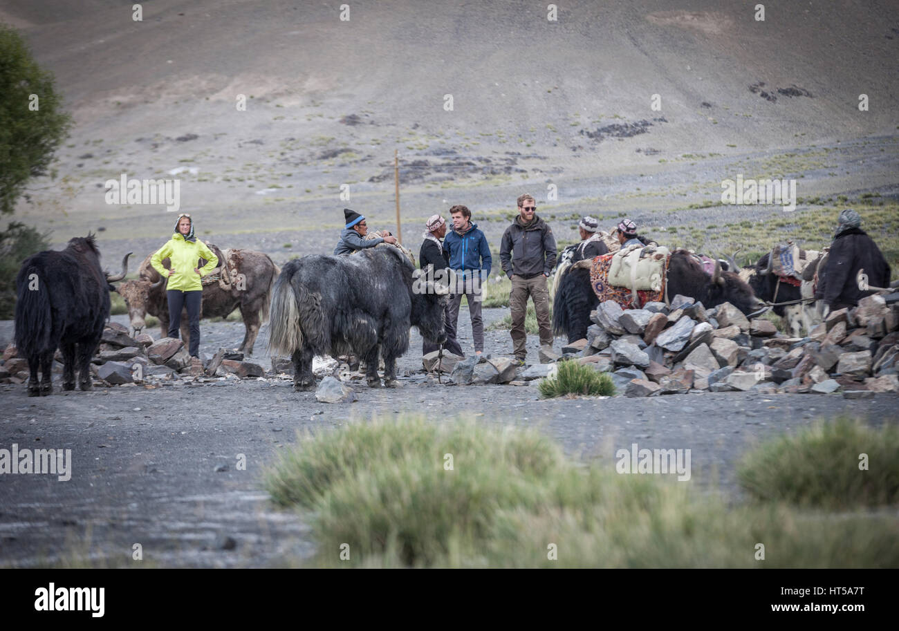 Afghanistan, Wakhan corridor, tourists with caravan yak in valley Stock ...