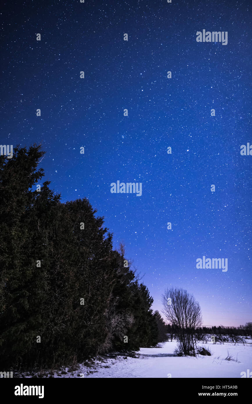 Rural Landscape at night with trees and stars asnd snow Stock Photo - Alamy