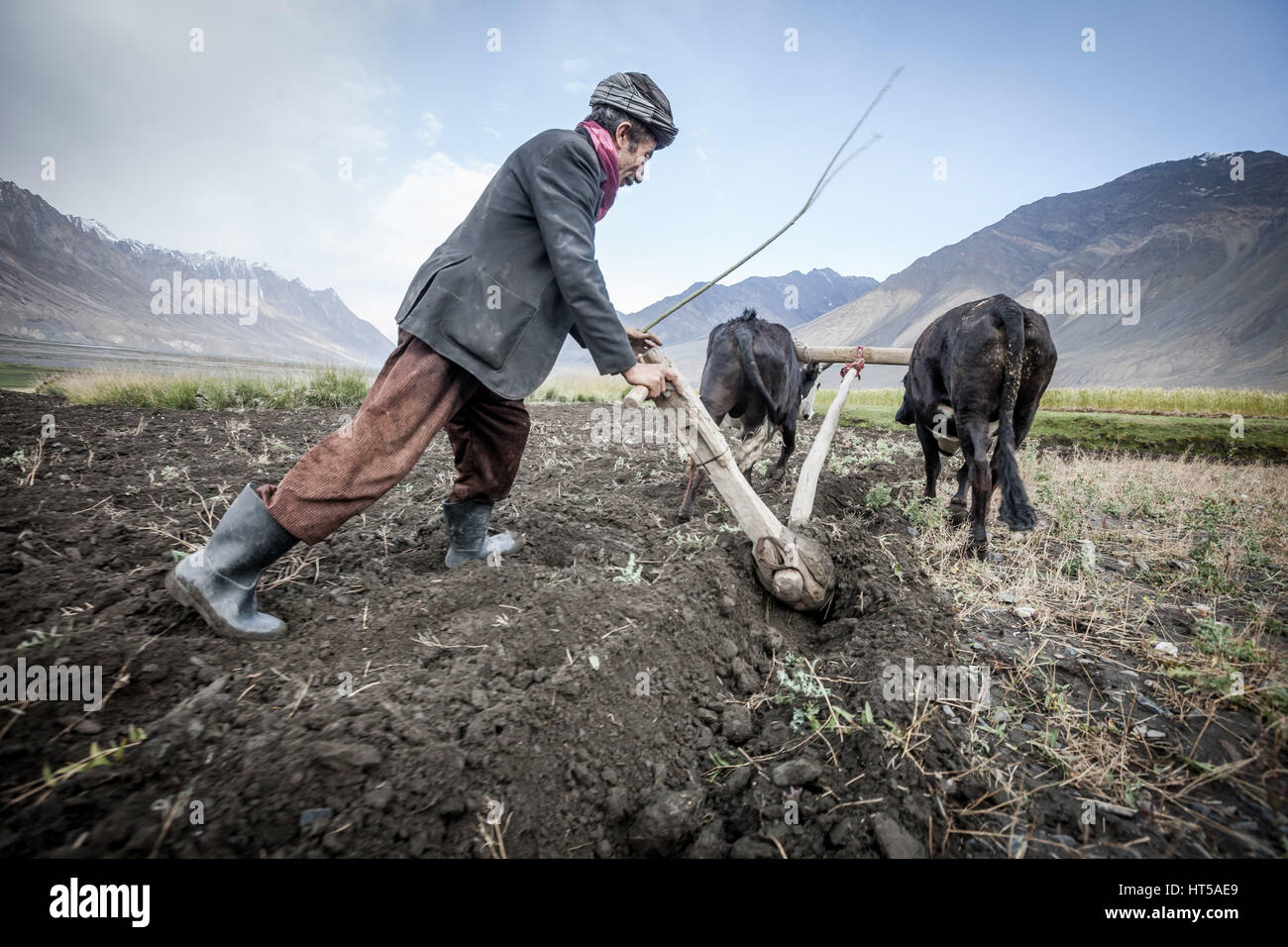 Farmer Plows High Resolution Stock Photography and Images - Alamy