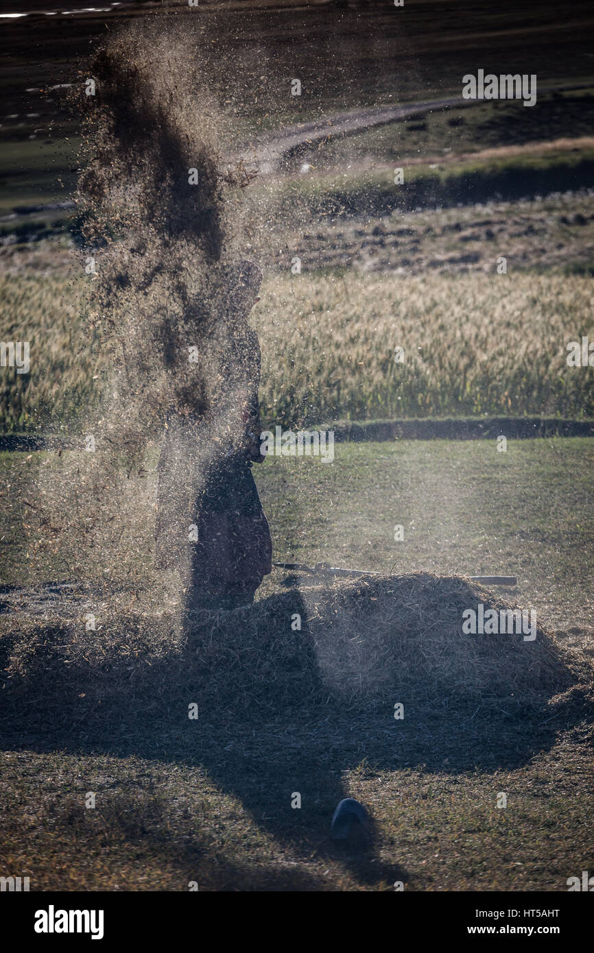 Field clearing hi-res stock photography and images - Alamy