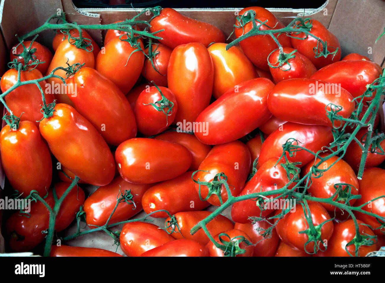 Tomatoes on display at Borough Market in London Stock Photo - Alamy