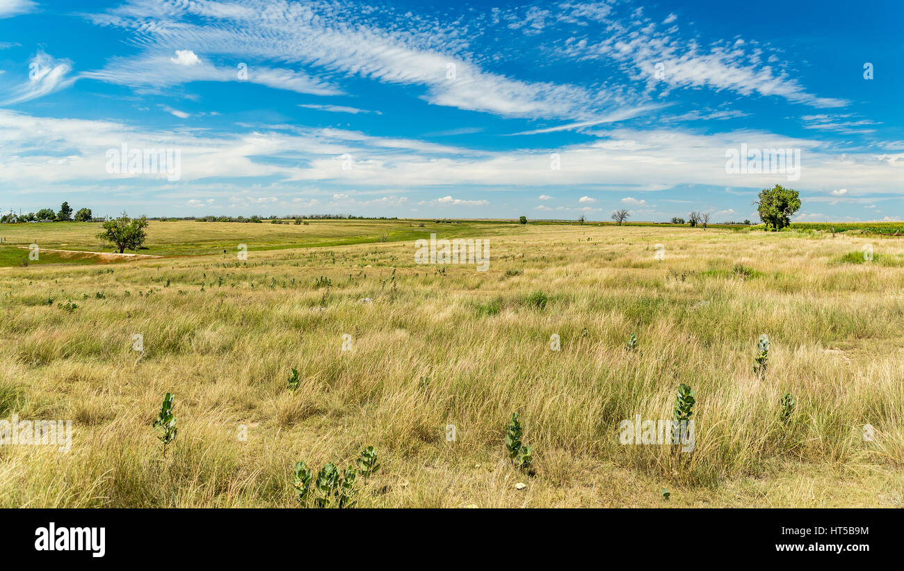 Wagon ruts hi-res stock photography and images - Alamy