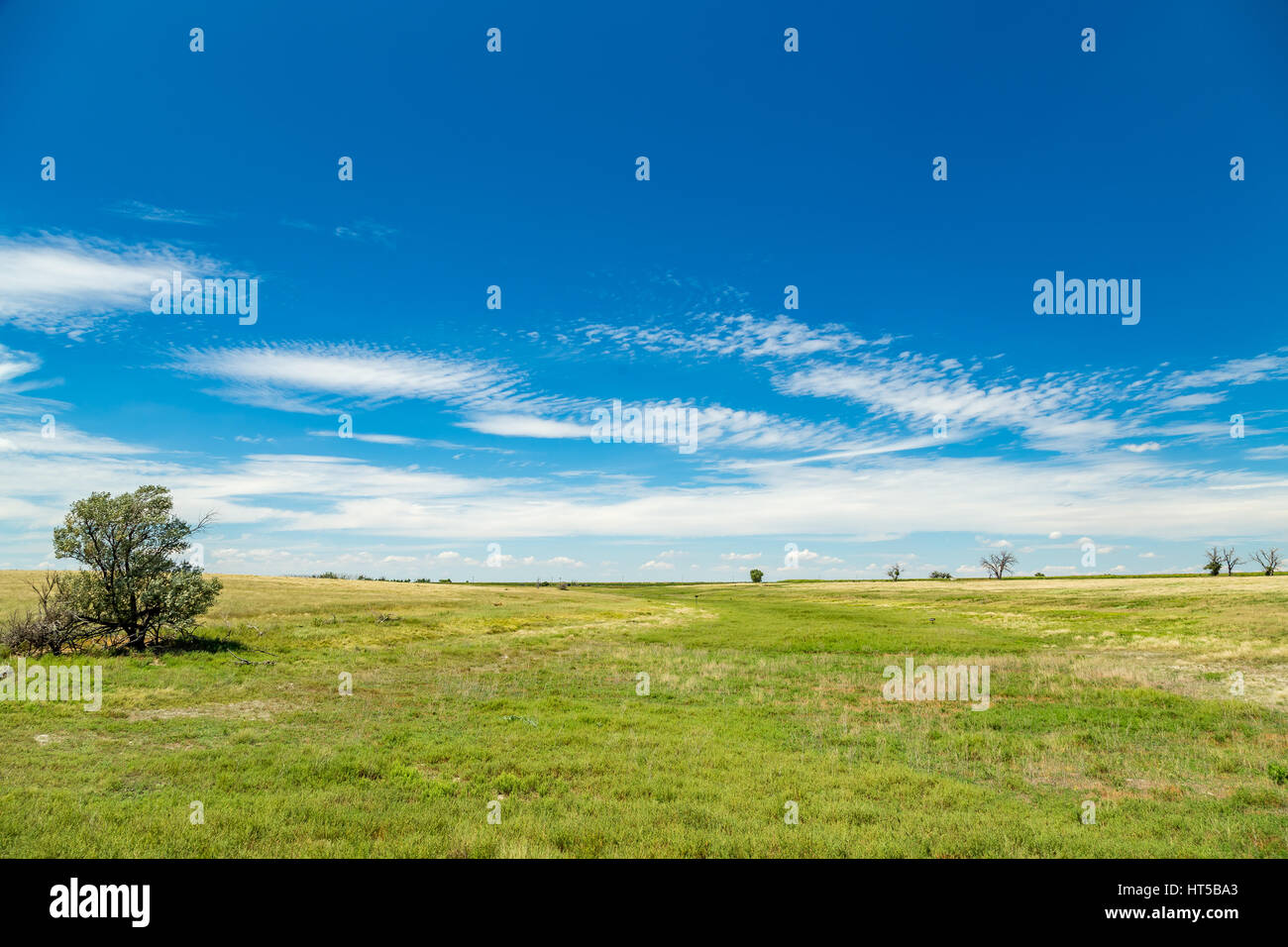 Wagon ruts hi-res stock photography and images - Alamy