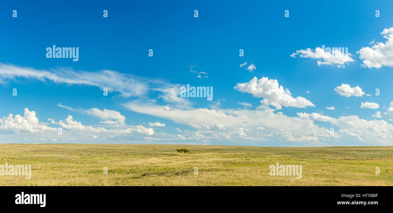 Savanna biome hi-res stock photography and images - Alamy