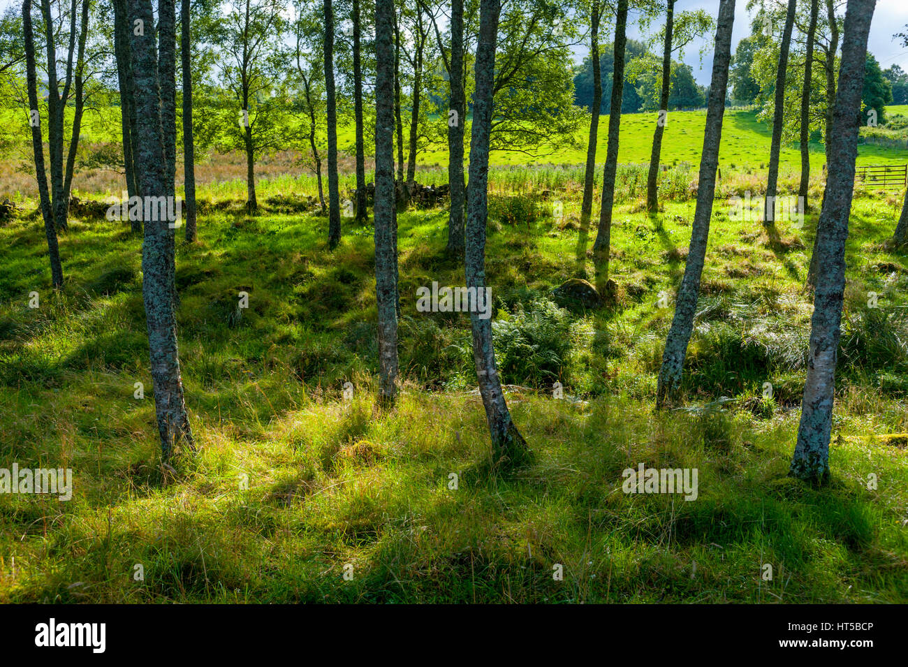 Kinloch rannoch hi-res stock photography and images - Alamy
