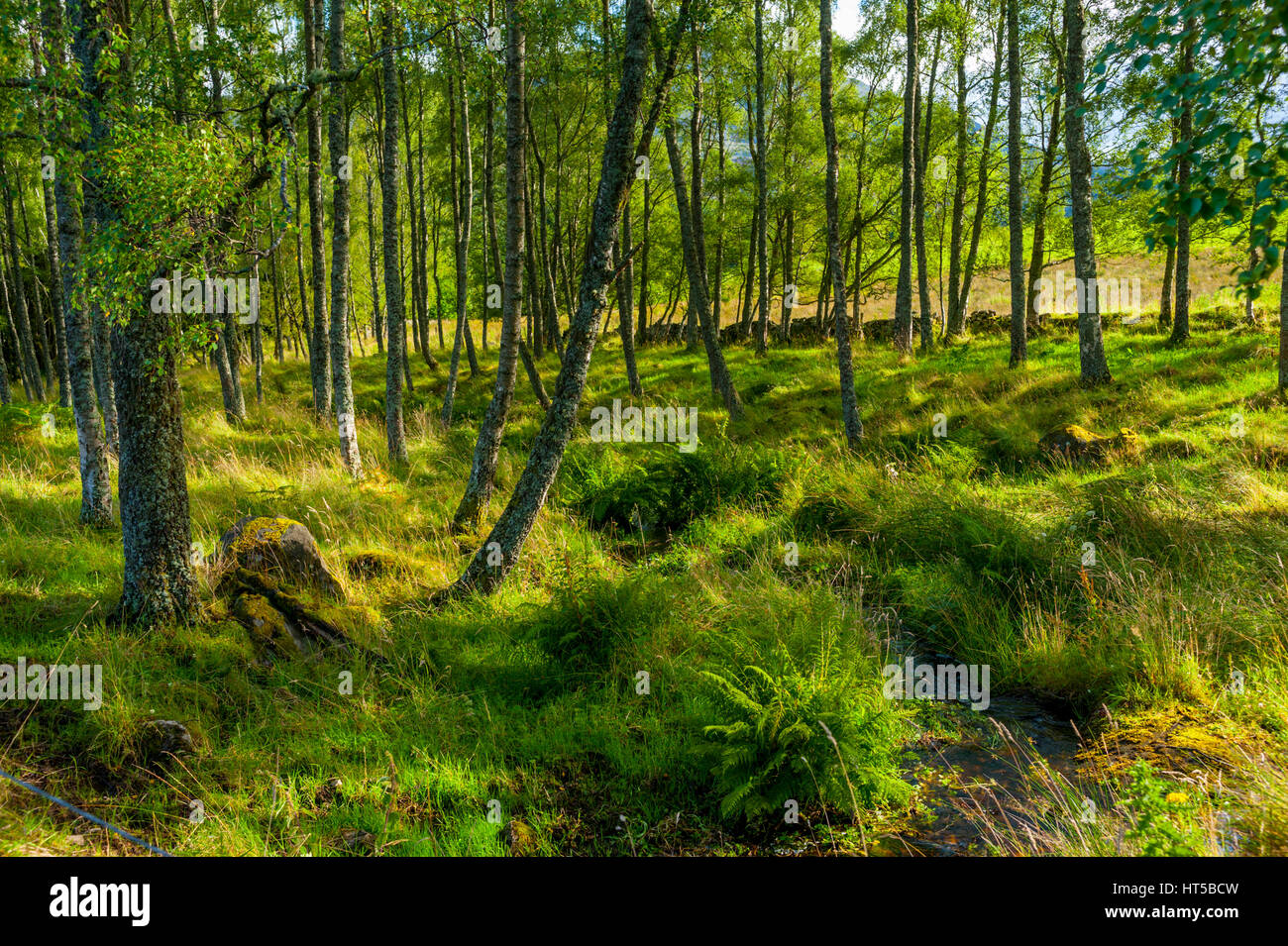 Kinloch rannoch hi-res stock photography and images - Alamy