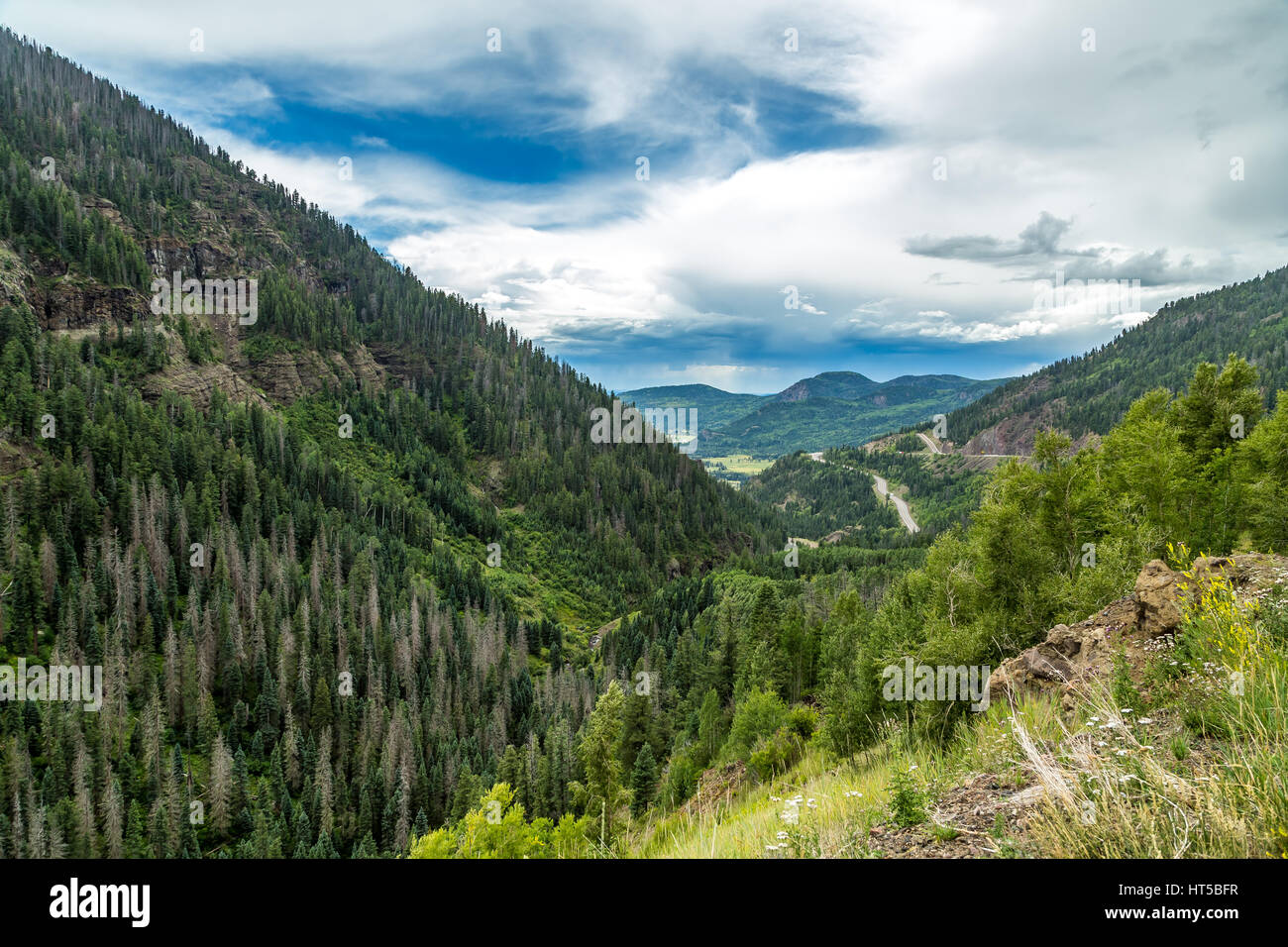A view of the San Juan National Forest from US Highway 160 north of ...