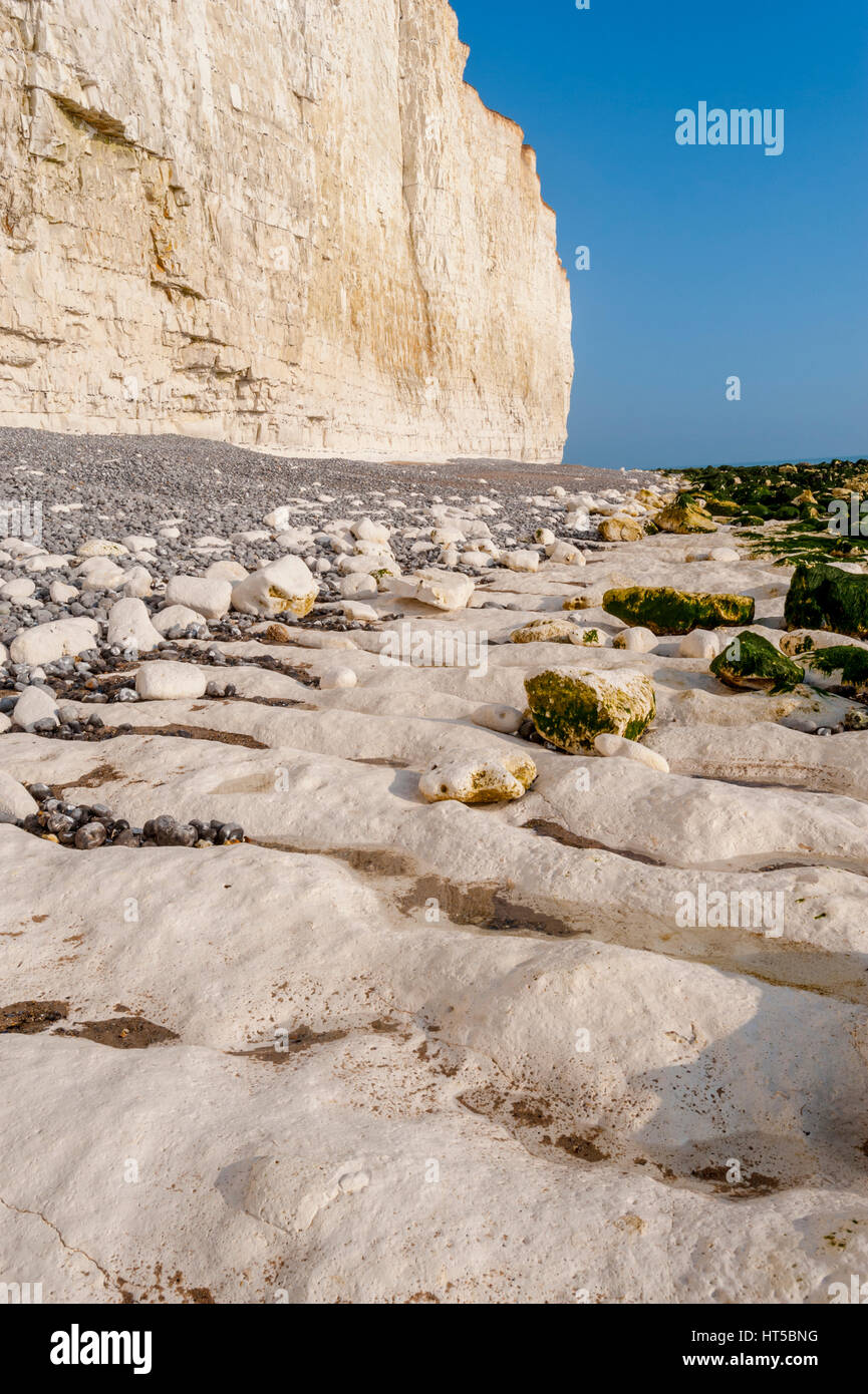 The Beach and cliffs at Birling Gap Sussex England Stock Photo - Alamy