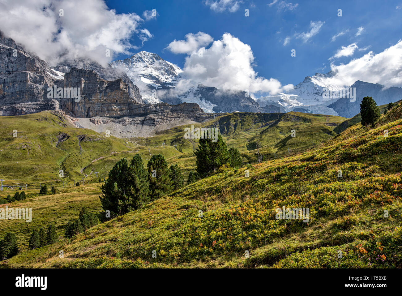 Alpine Landscape in Bernese Oberland in Switzerland Stock Photo - Alamy