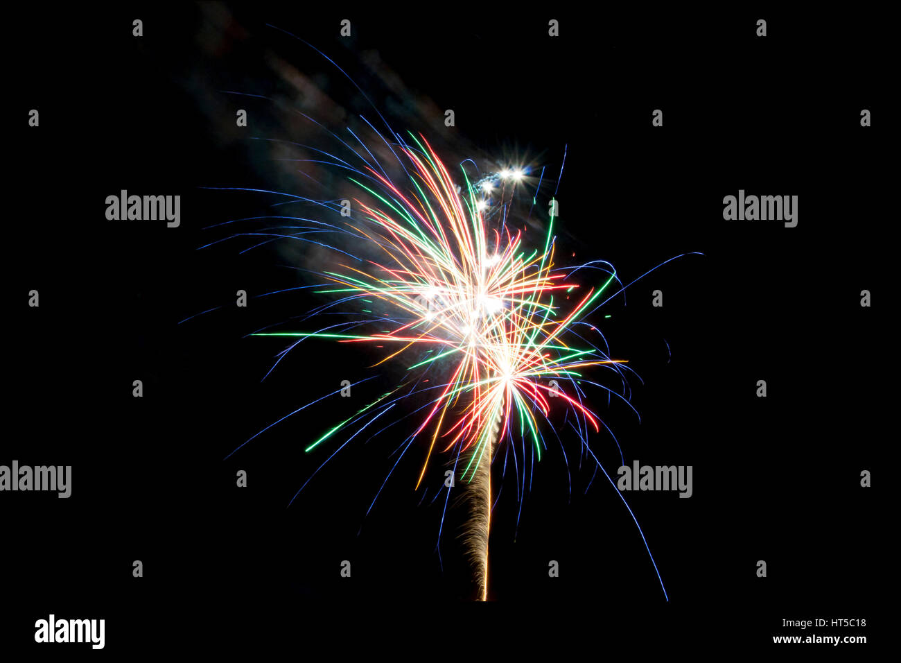 multicolor palm shaped firework on black background Stock Photo - Alamy