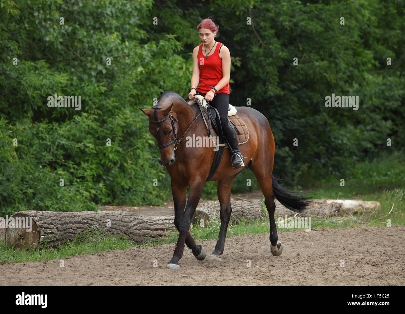 Equestrian girl horseback riding along forest trail hi-res stock ...