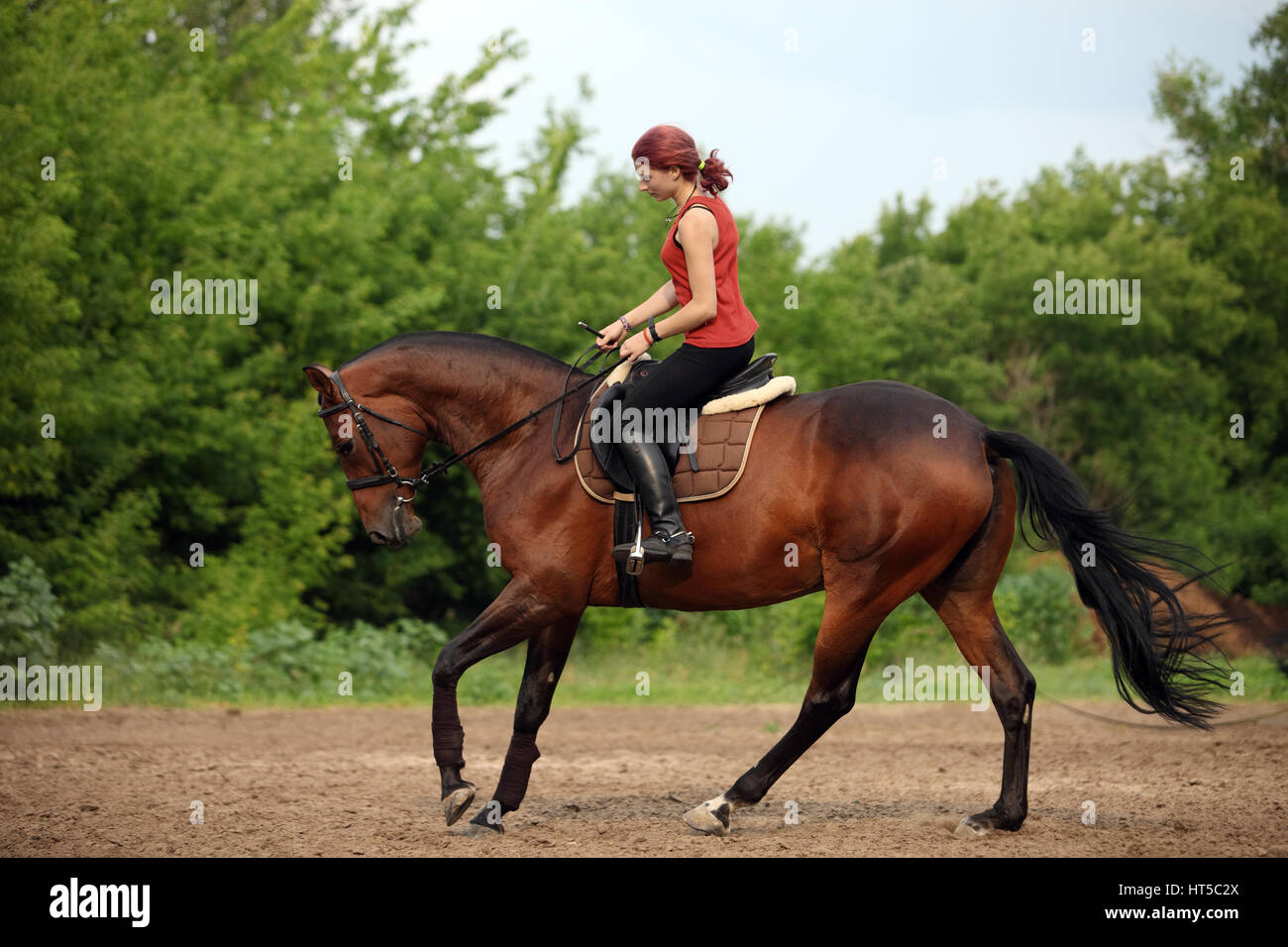 Equestrian girl horseback riding along forest trail Stock Photo - Alamy