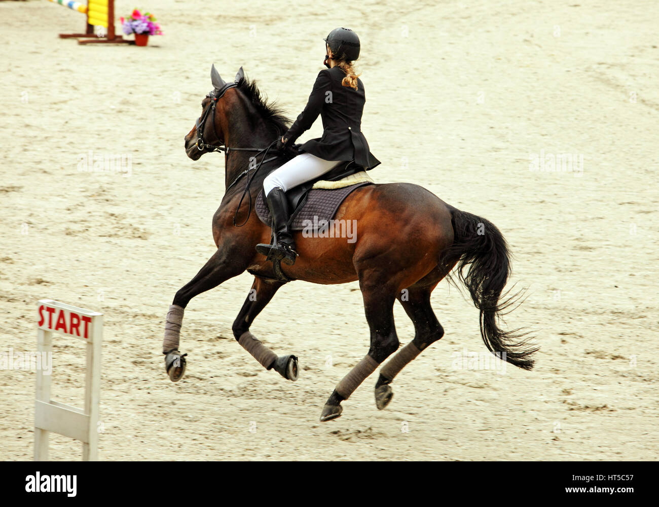 Equestrian obstacle course hi-res stock photography and images - Alamy