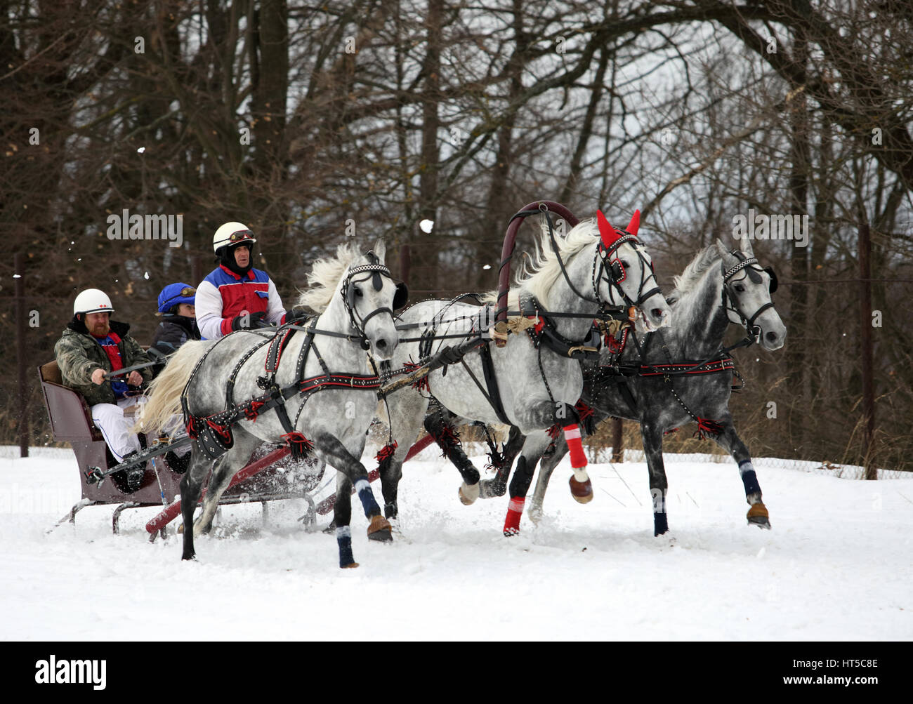 Troika sledge hi-res stock photography and images - Alamy