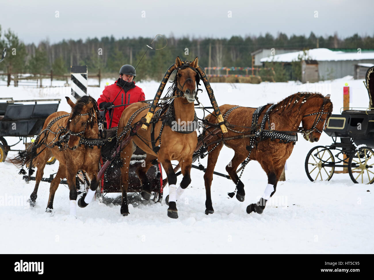 Horse sleigh drawing hi-res stock photography and images - Alamy