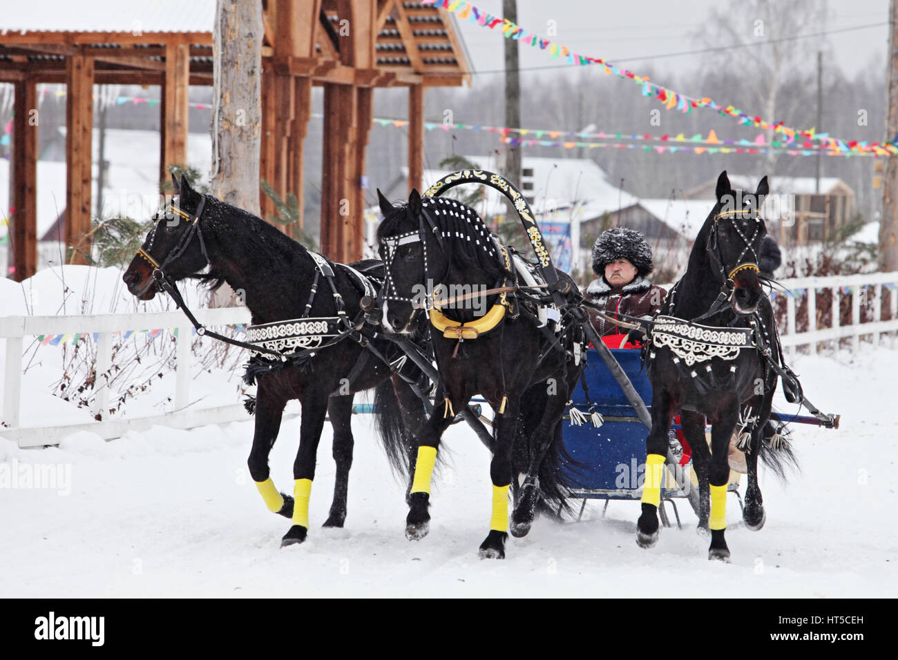 Horse russian troika hi-res stock photography and images - Alamy