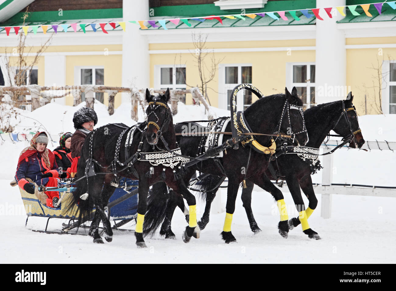 A troika driver hi-res stock photography and images - Alamy