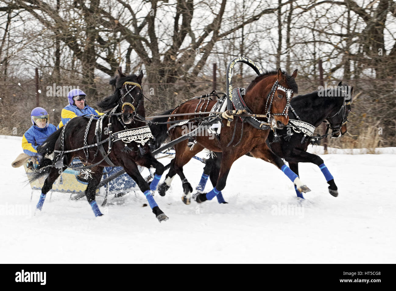 A russian troika hi-res stock photography and images - Alamy