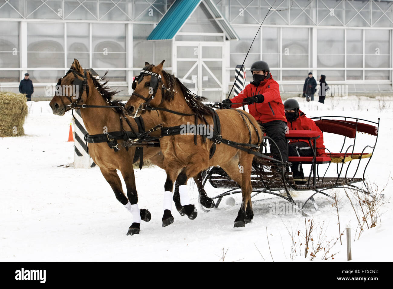 Riding sledge hi-res stock photography and images - Alamy